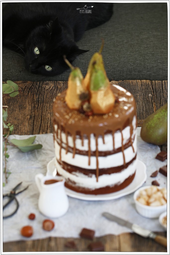 GROS GÂTEAU FACILE - Maïa Chä